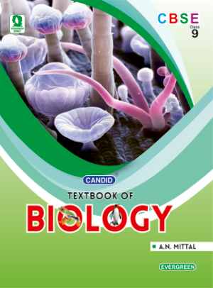 Evergreen Publications – Education is Evergreen